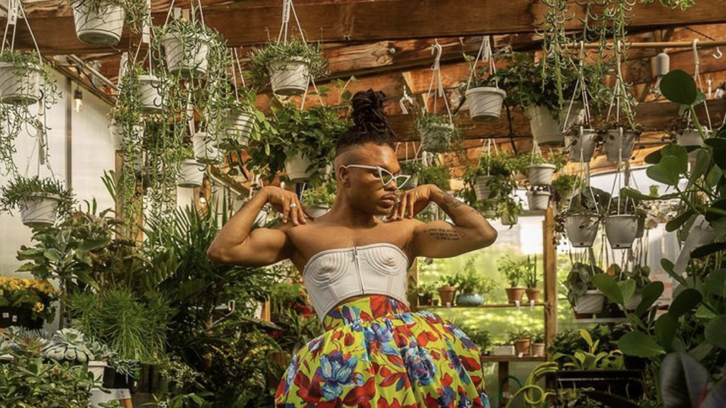 Top Plant Influencers to Help Your Green Thumb Bloom - Social Studies