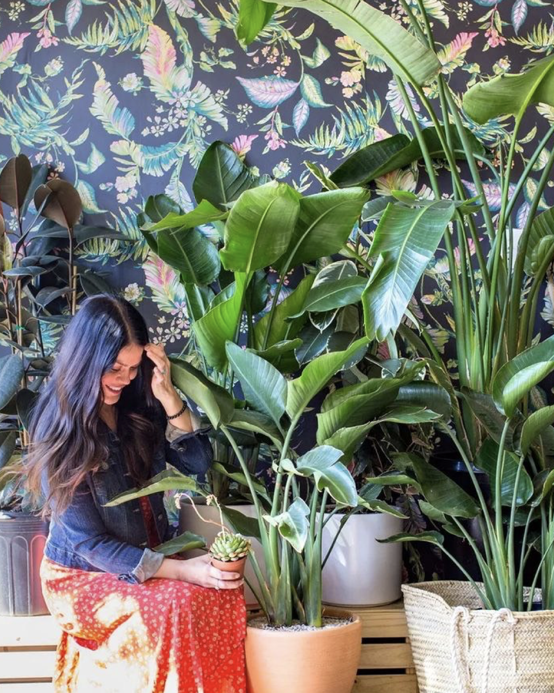Top Plant Influencers to Help Your Green Thumb Bloom - Social Studies