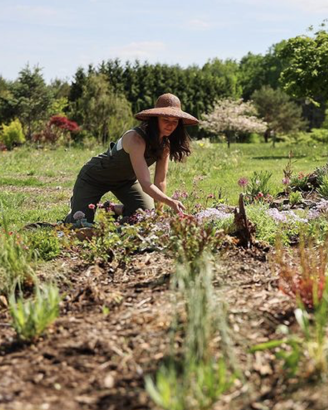 Top Plant Influencers to Help Your Green Thumb Bloom - Social Studies